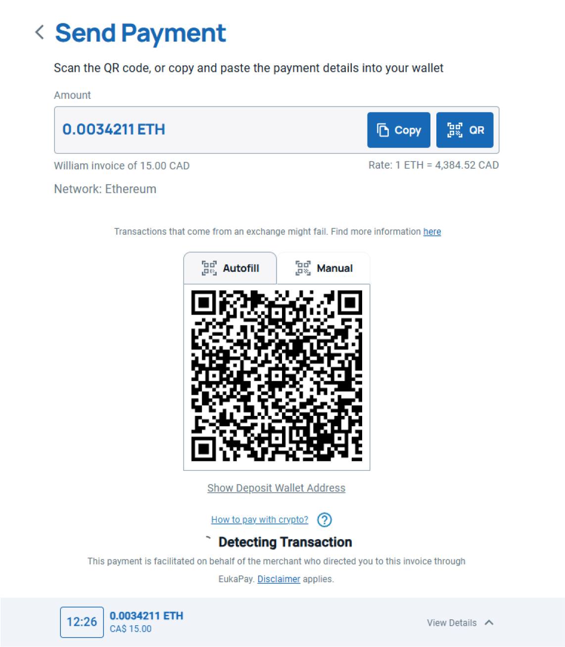 Pay an Invoice Using EukaPay
